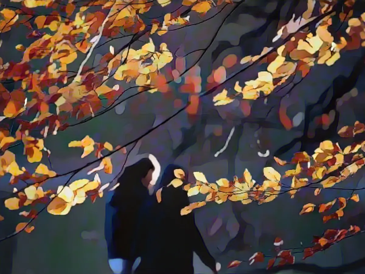 Second warmest fall in Saxony-Anhalt: lots of sun and rain