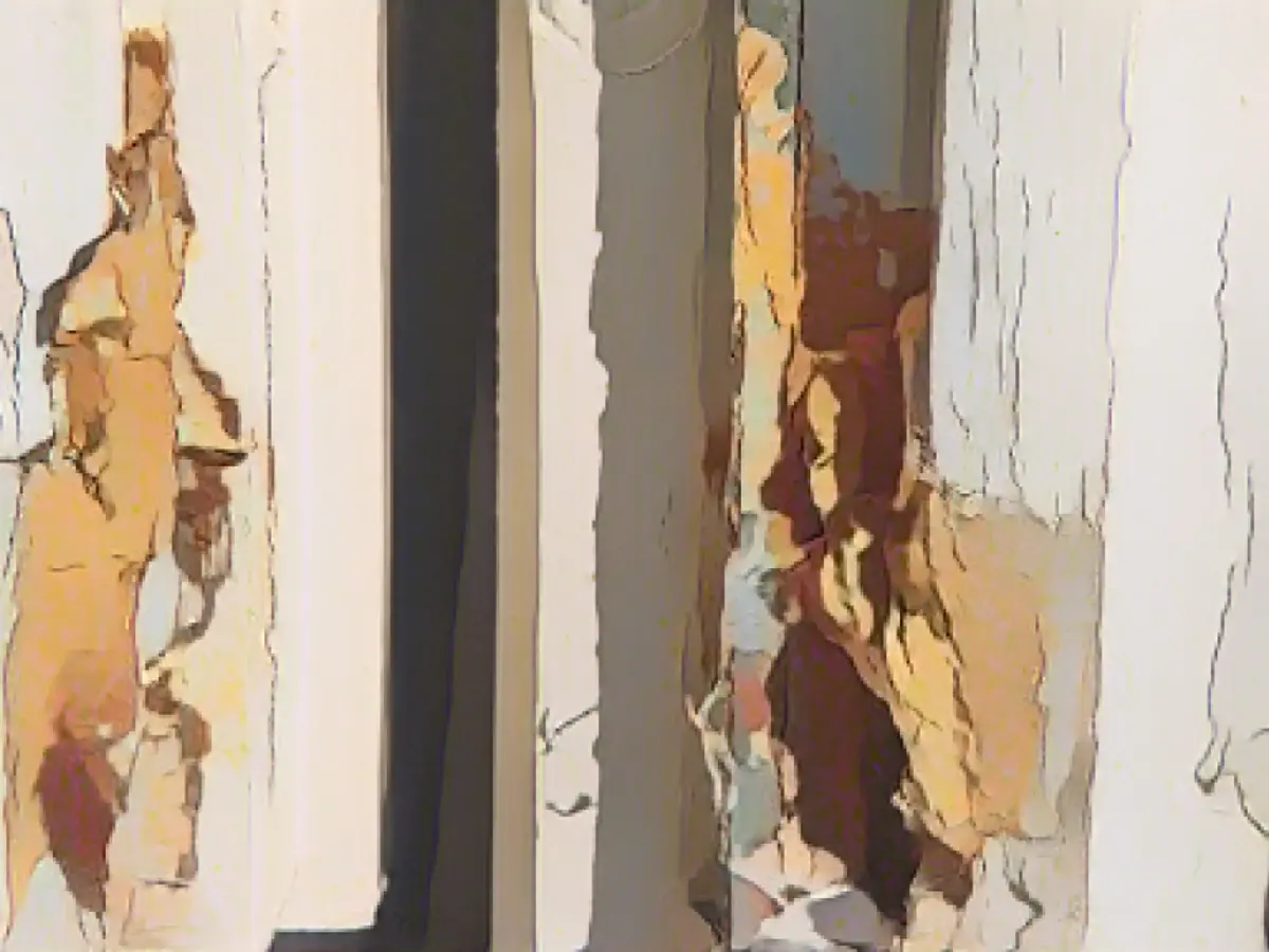 Everything you need to know about the home-eating fungus Poria cocos