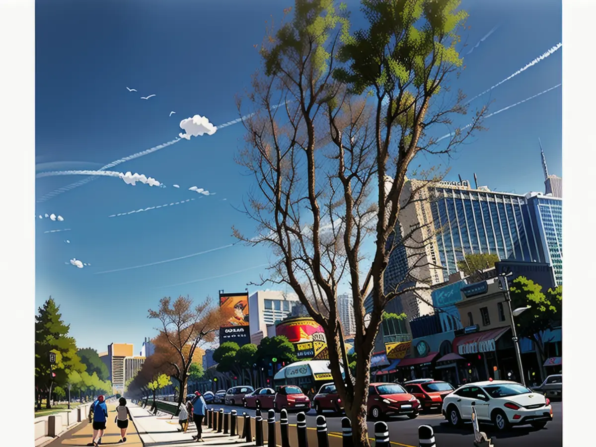 Most Bellagio Las Vegas Trees Planted to Replace Those Felled For F1 ...